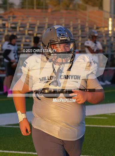 Photo 1 in the Willow Canyon @ Apollo Photo Gallery (372 Photos)
