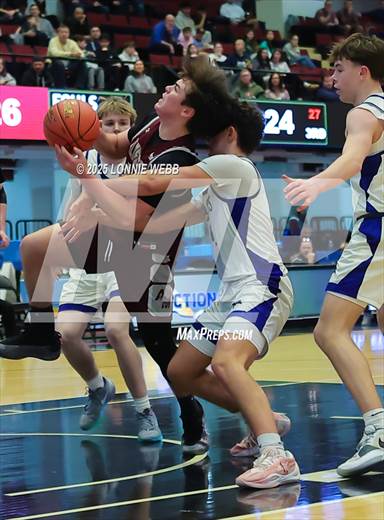 albertus magnus basketball