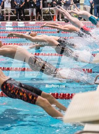 Colorado High School Swimming - Schedules, Scores, Team Coverage