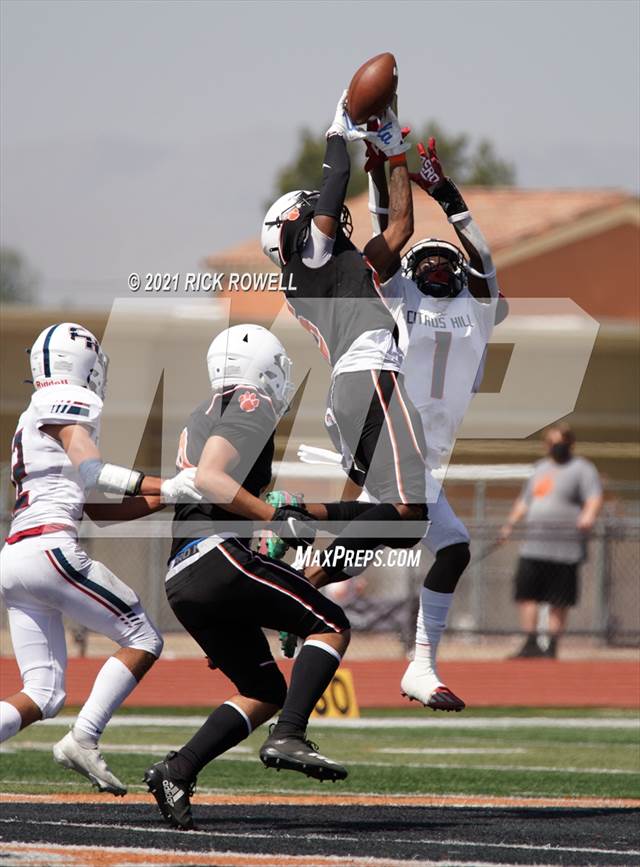 Photo 115 in the Citrus Hill @ San Jacinto Photo Gallery (242 Photos)