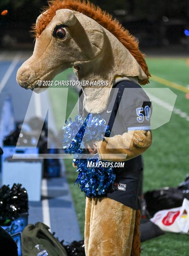 Photo 3 in the Paramount @ Carson Photo Gallery (75 Photos)