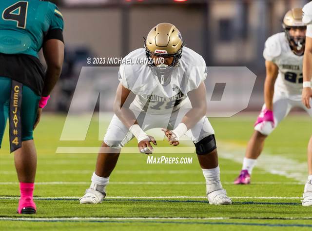 Photo 41 in the Bonita Vista @ Olympian Photo Gallery (200 Photos)
