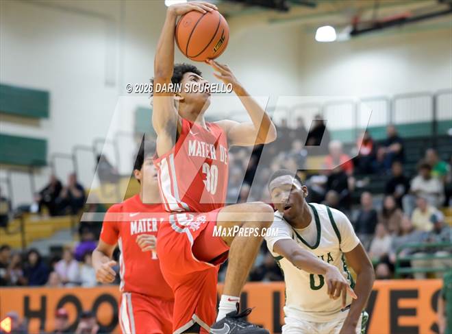 basha bears maxpreps