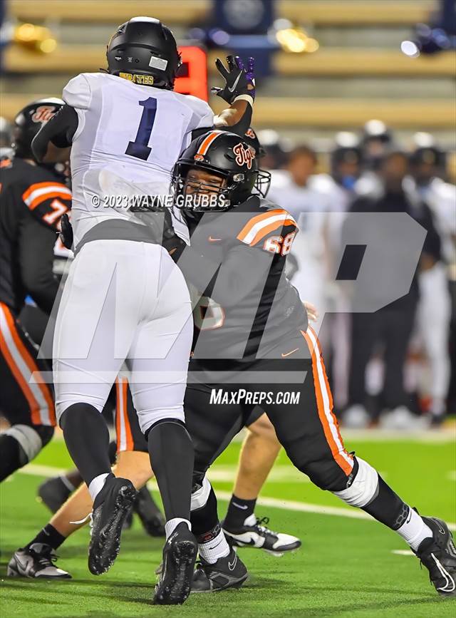 Photo 49 in the Pine Tree @ Texas Photo Gallery (54 Photos)