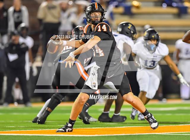 Photo 42 in the Pine Tree @ Texas Photo Gallery (54 Photos)