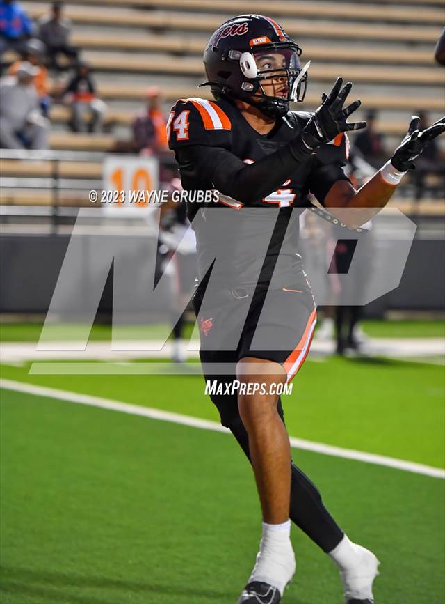 Photo 7 in the Pine Tree @ Texas Photo Gallery (54 Photos)