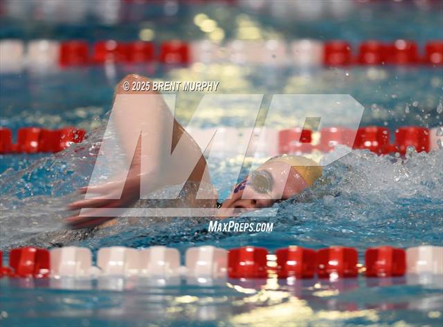 Photo 237 in the CHSAA 3A Swim Finals Photo Gallery (412 Photos)