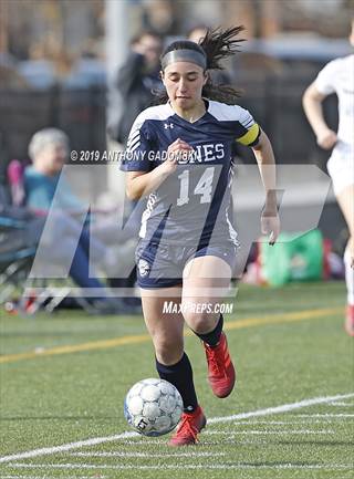 Illinois High School Girls Soccer - Schedules, Scores, Team Coverage