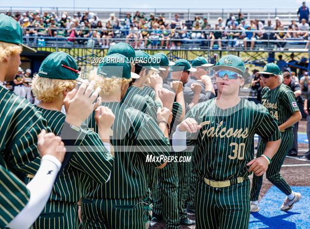 Photo 1 in the Falcon vs. Pueblo County (CHSAA 4A Semifinal) Photo Gallery (118 Photos)