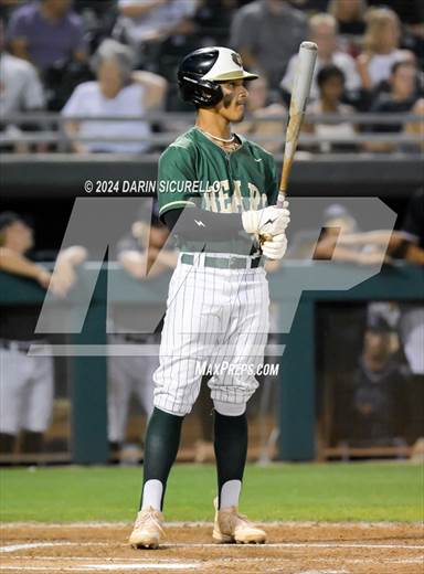 basha bears baseball