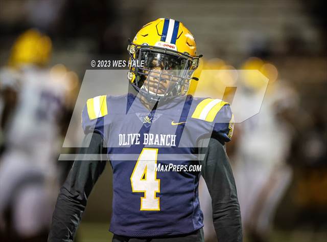 Photo 111 in the DeSoto Central @ Olive Branch Photo Gallery (194 Photos)
