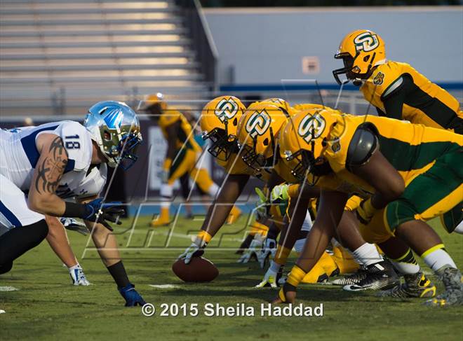 Photo 15 in the Southern Lab @ IMG Academy Photo Gallery (106 Photos)