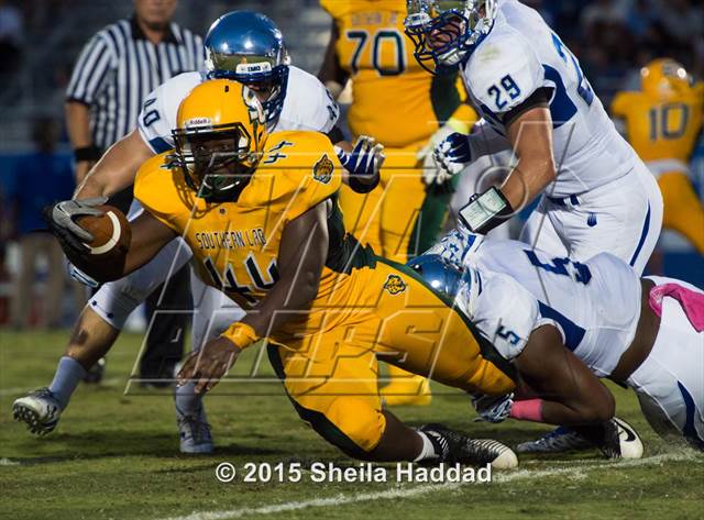 Photo 34 in the Southern Lab @ IMG Academy Photo Gallery (106 Photos)