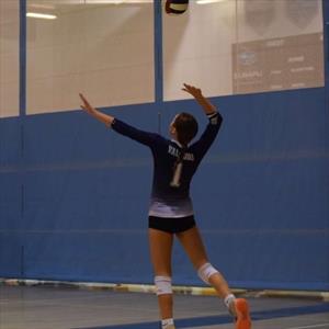 Abby O'Neal's Valwood High School Volleyball Stats