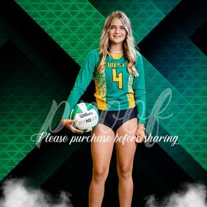 Mylee Friedberg's West Davidson High School Career Home