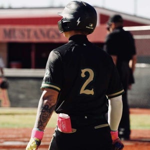 Ethan Gentz's High School Baseball Stats