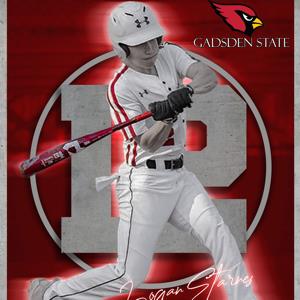 Logan Starnes' Shelby County High School Baseball Stats