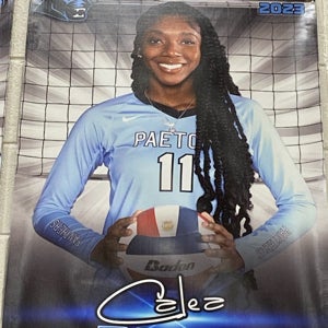 Calea Bush's Paetow High School Career Home