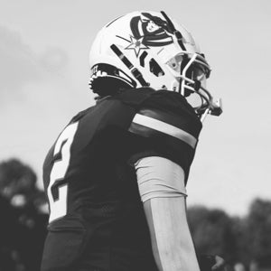 michael beasley stats