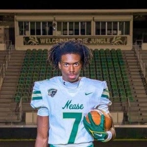 Damion Bridges' Nease High School Bio