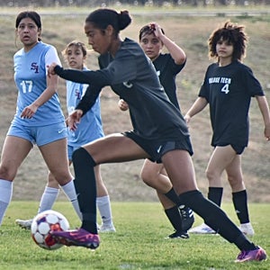 Sage Pink's Village Tech High School Career Home