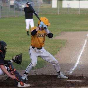 Harry Poole's High School Baseball Stats