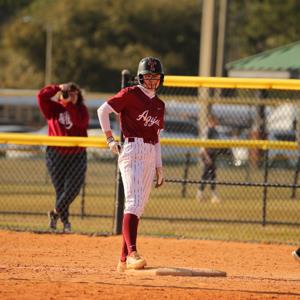 Kaylie Mitchell's Stat Leader Rankings