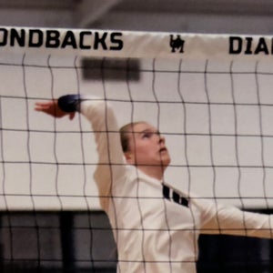 Allison Eschleman's Union Mine High School Career Home