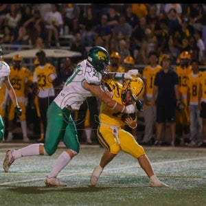 Wyatt Ling's Full-Size Photos