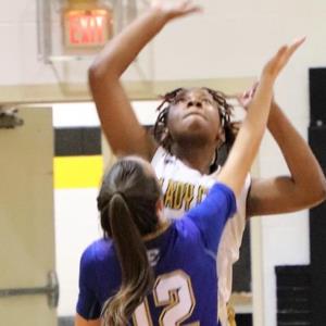 Mya Smith's News