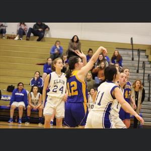 Sara Bledsoe's (Mount Airy, NC) North Surry High School Career Home