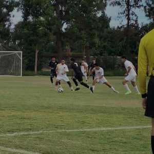 Bryan Godinez's Animo Watts High School Career Home