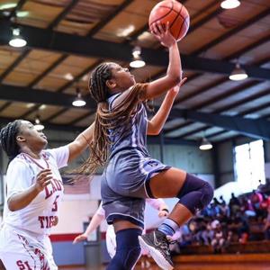 Chyann Lee's Delta Charter Career Home