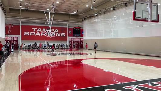 Basketball Game Preview: Cardinal Mooney Cougars vs. Bloomingdale Bulls