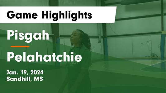 Basketball Game Preview: Pelahatchie Chiefs vs. Puckett Wolves