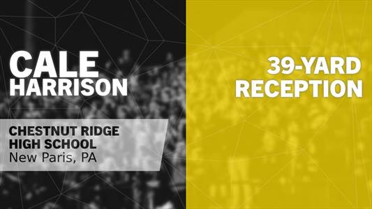 Baseball Game Preview: Chestnut Ridge Lions vs. Central Cambria Red Devils