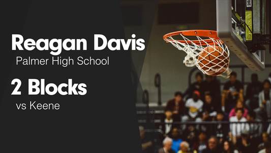 Basketball Game Preview: Palmer Bulldogs vs. Scurry-Rosser Wildcats