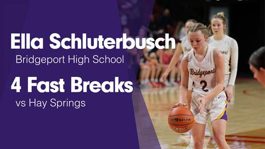 Basketball Game Preview: Bridgeport Bulldogs vs. Battle Creek Braves