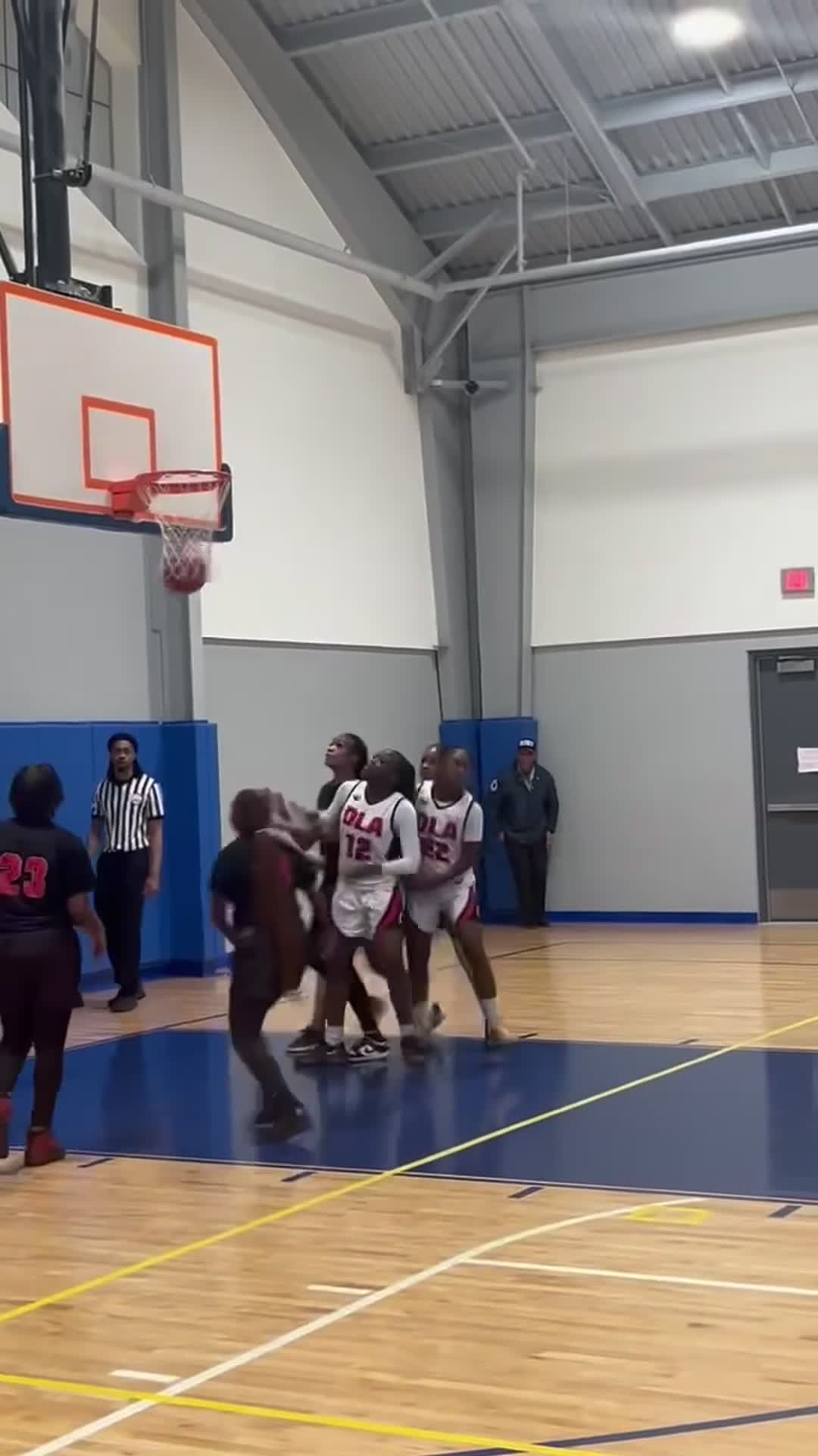 Basketball Recap: Detroit Leadership Academy Skates Past Ecorse with Ease