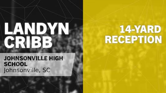 Landyn Cribb Game Report: vs Lake View