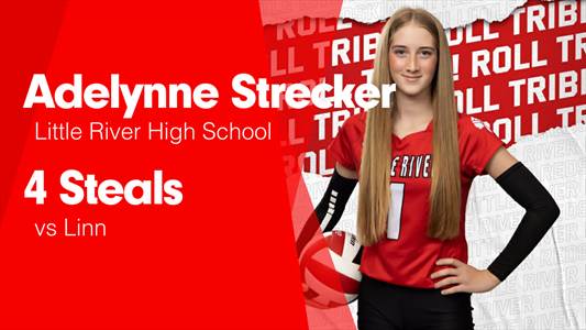 Adelynne Strecker Game Report: vs Elyria Christian