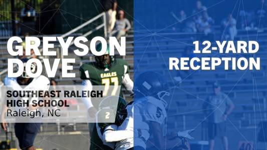 Baseball Game Recap: Southeast Raleigh Bulldogs vs. South Garner Titans
