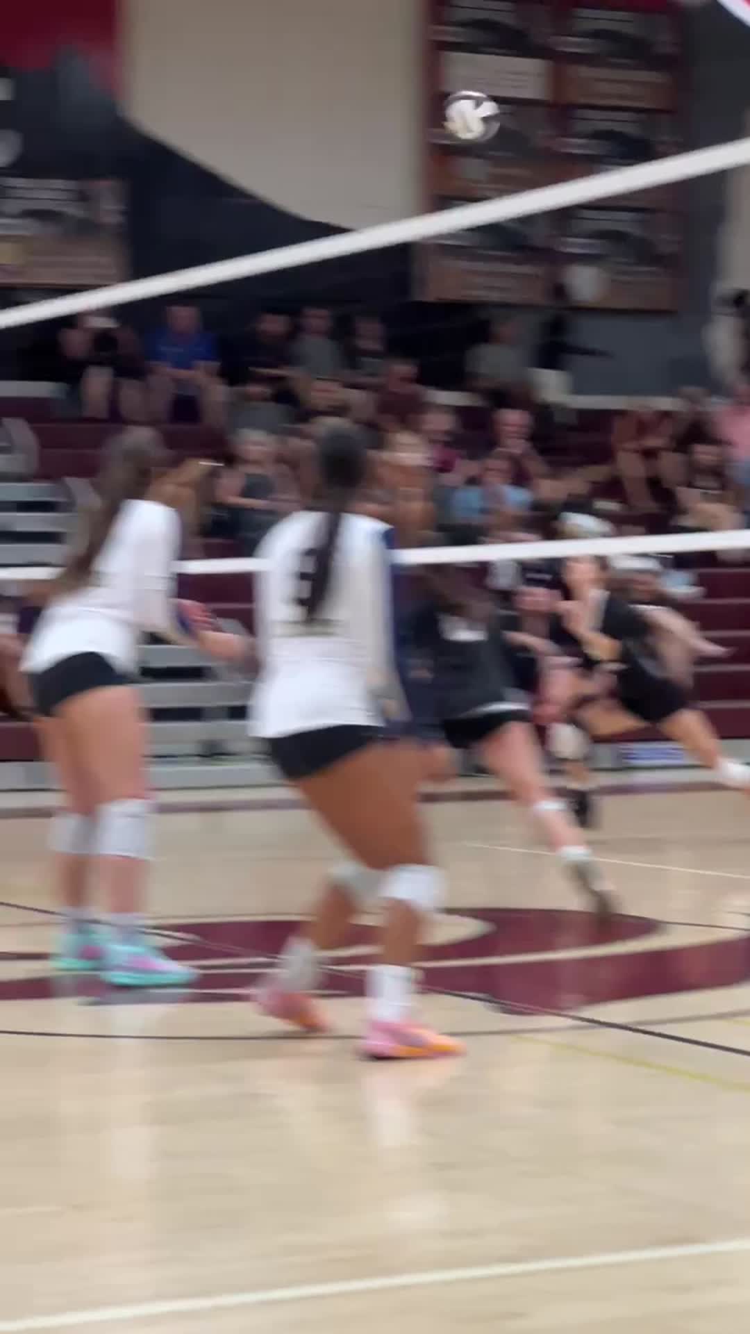 Volleyball Recap: Chloe Taylor Key Part of Team Effort in Grizzlies Win