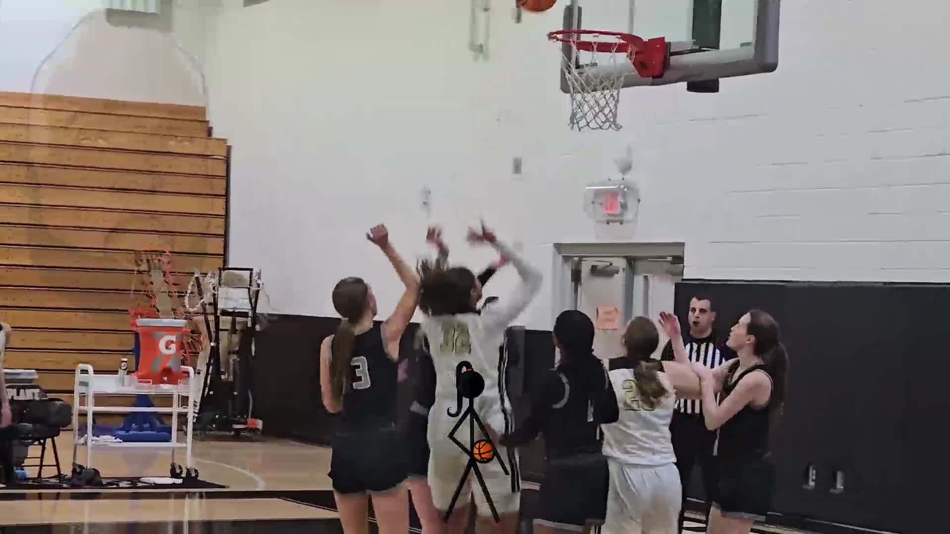 Basketball Game Preview: Plant Panthers vs. Alonso Ravens