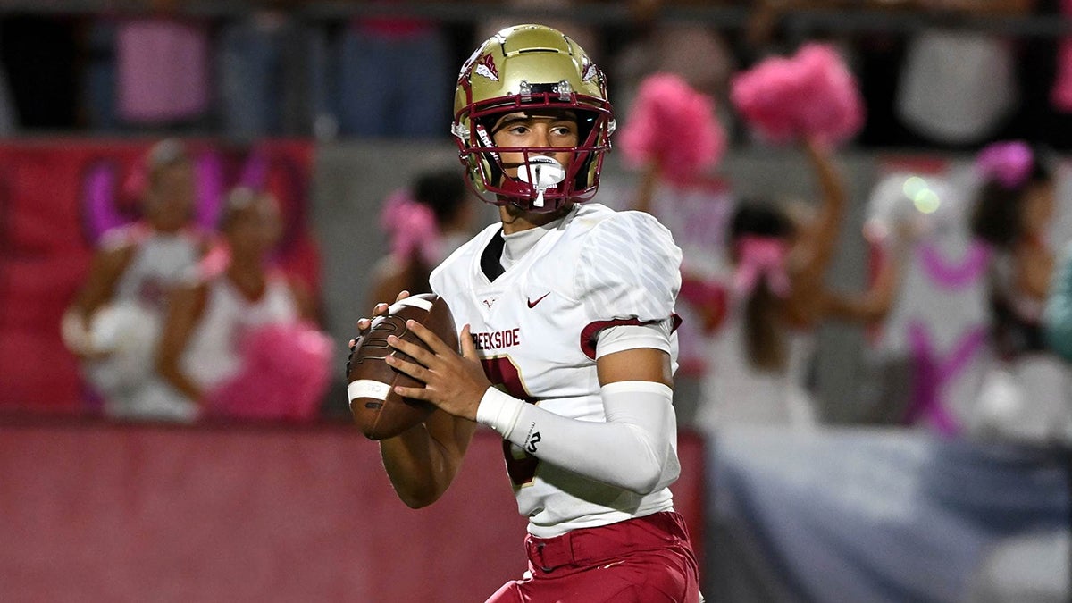 Vinson Berry of Creekside is the Georgia High School Football Player of ...