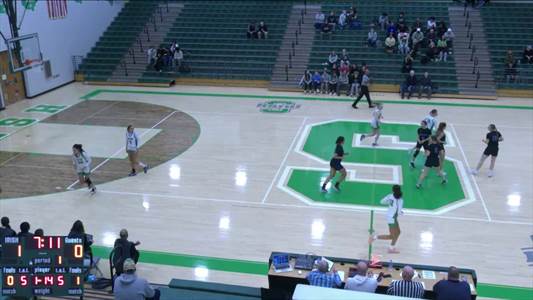 Basketball Game Preview: Dublin Scioto Irish vs. Hayes Pacers