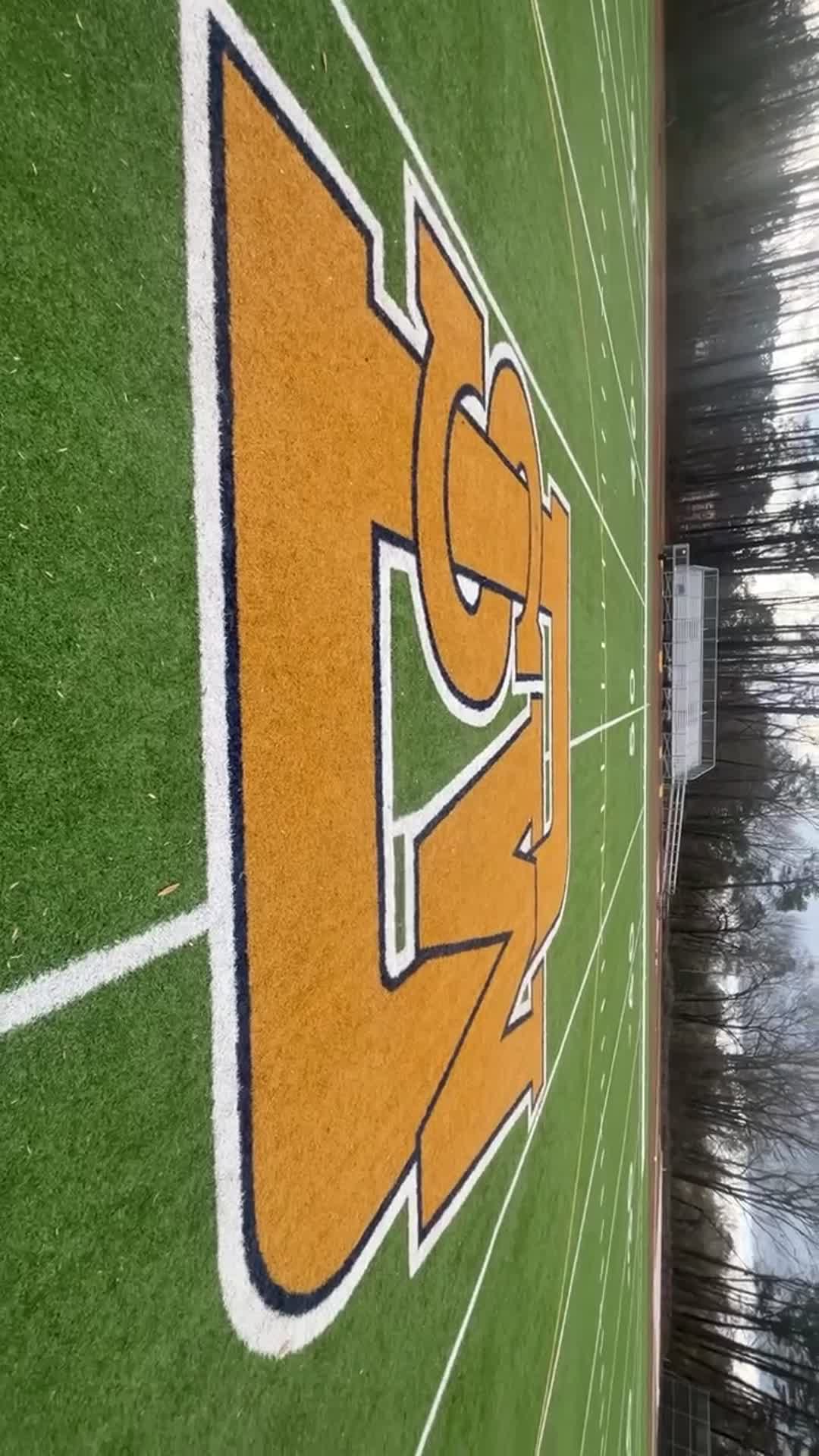 Football Game Preview: Southwest DeKalb Panthers vs. Stephenson Jaguars