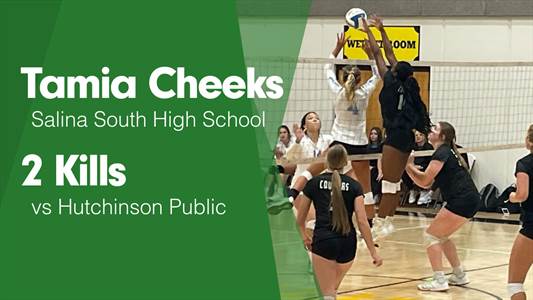 Basketball Recap: Tamia Cheeks' Big Game Can't Quite Lead South over ...