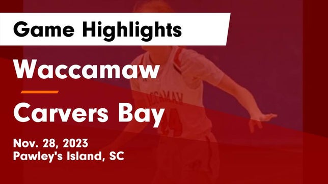 Basketball Game Recap: Carvers Bay Bears vs. Lake View Wild Gators