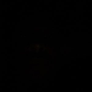 Niles West High School (Skokie, IL) Varsity Football